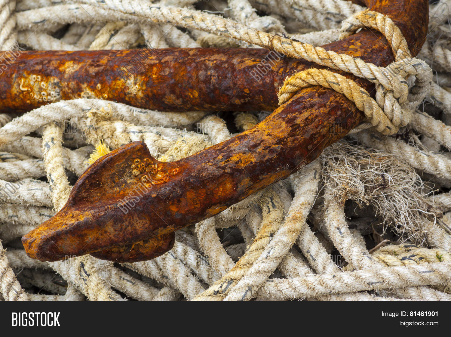 Rope Anchor Fluke Image & Photo (Free Trial) | Bigstock