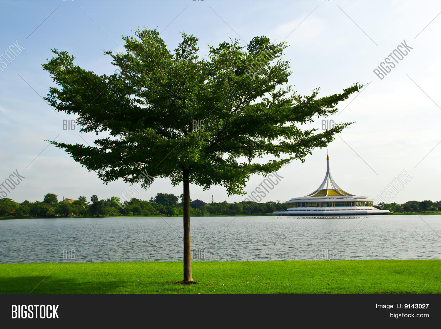 Tree Rama 9 Park Image & Photo (Free Trial) | Bigstock