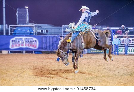 Clark County Fair Image & Photo (Free Trial) | Bigstock
