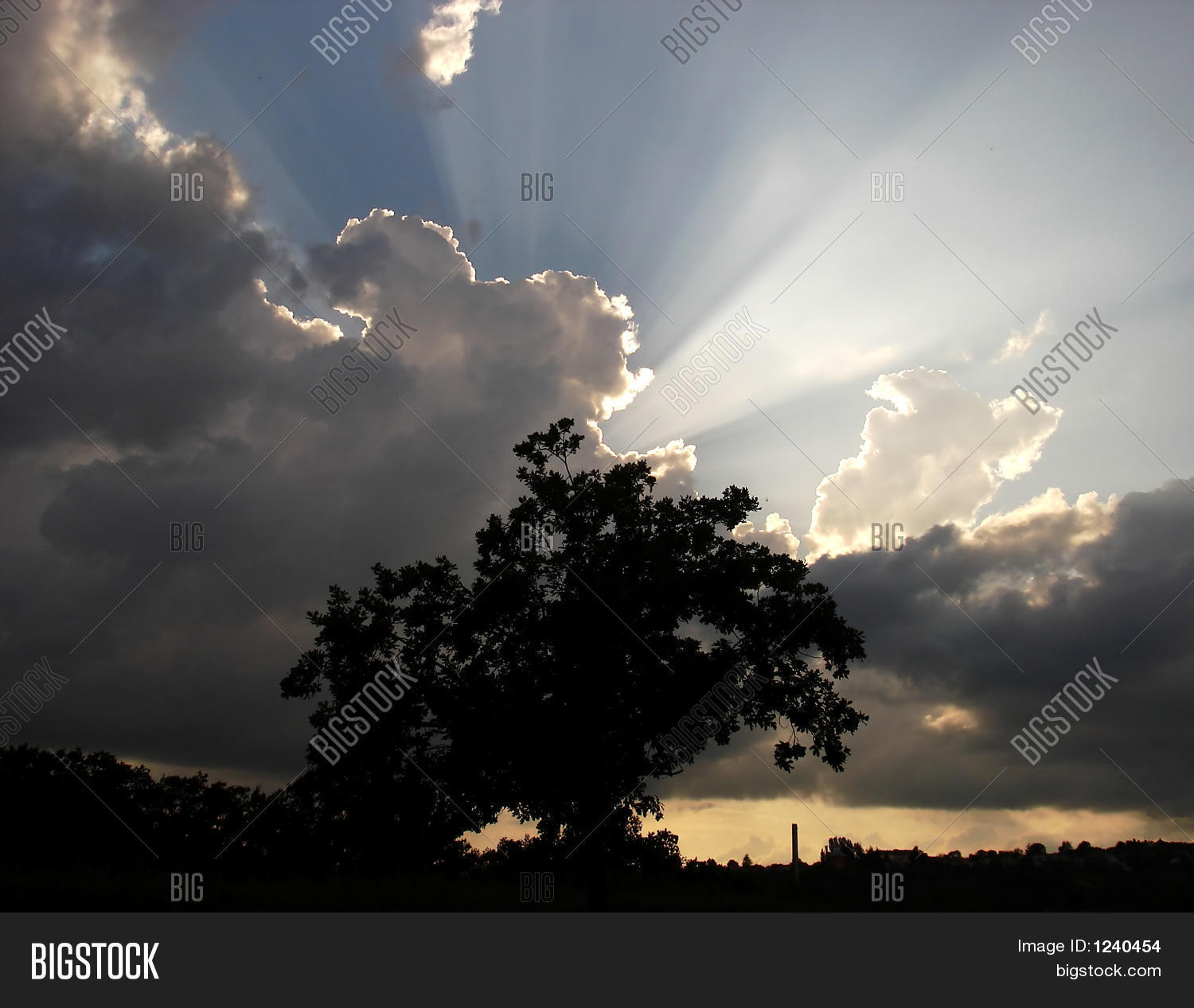 ภาพและภาพถ่าย (ทดลองใช้ฟรี) | Bigstock