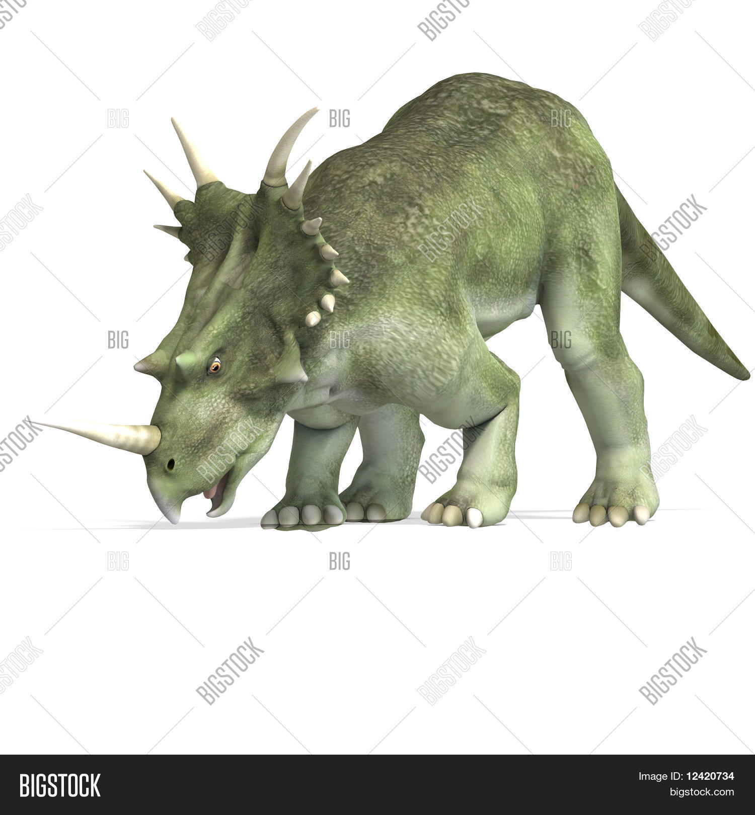 Dinosaur Styracosaurus Image & Photo (Free Trial) | Bigstock