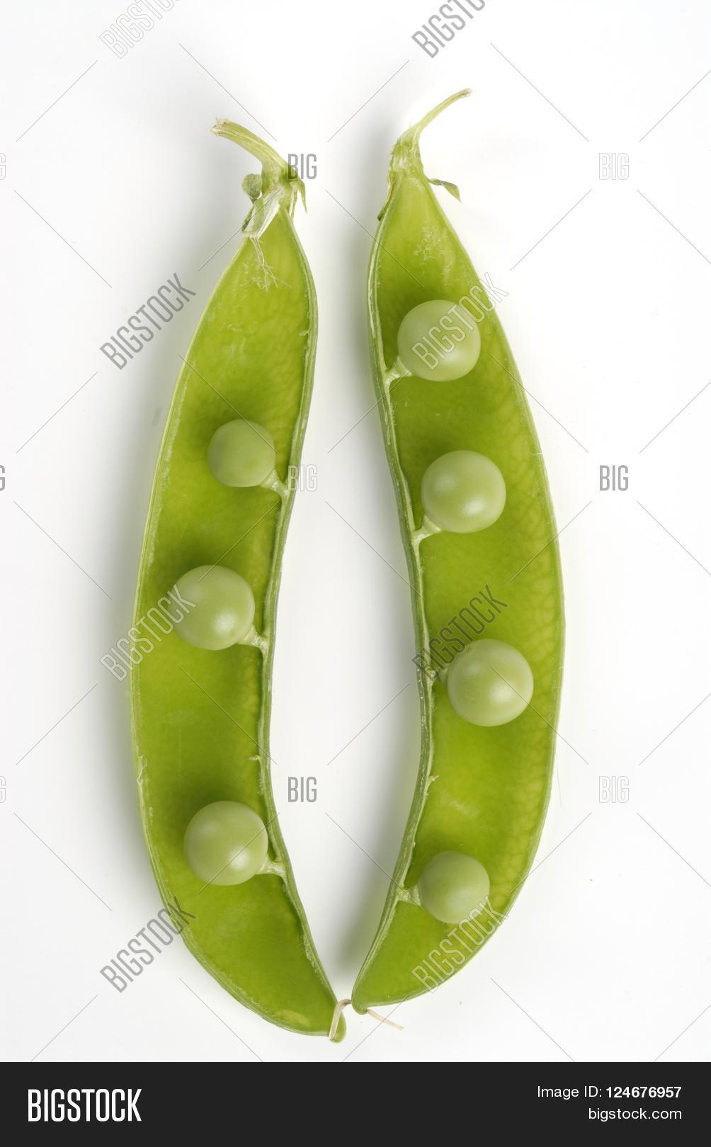 One Pea Studio On Image & Photo (Free Trial) | Bigstock