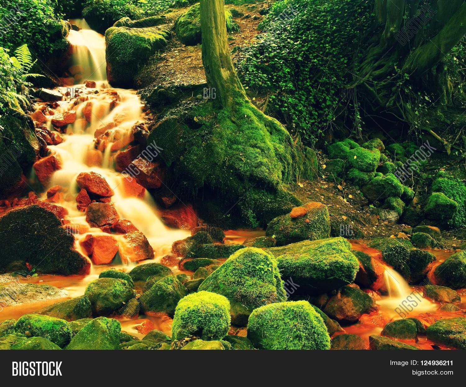 Cascades Rapids Image & Photo (Free Trial) | Bigstock