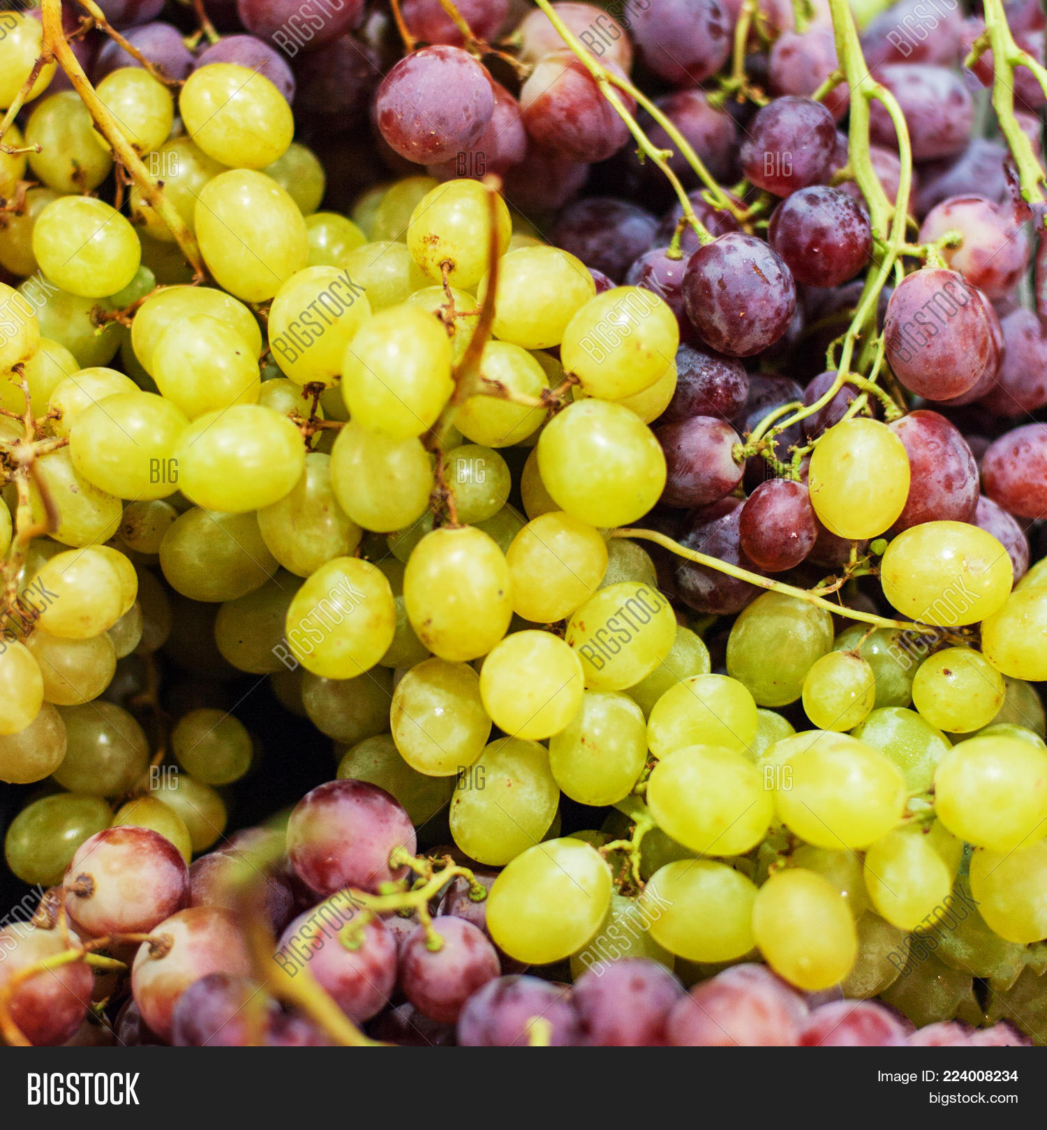 Grapes Background. Image & Photo (Free Trial) | Bigstock