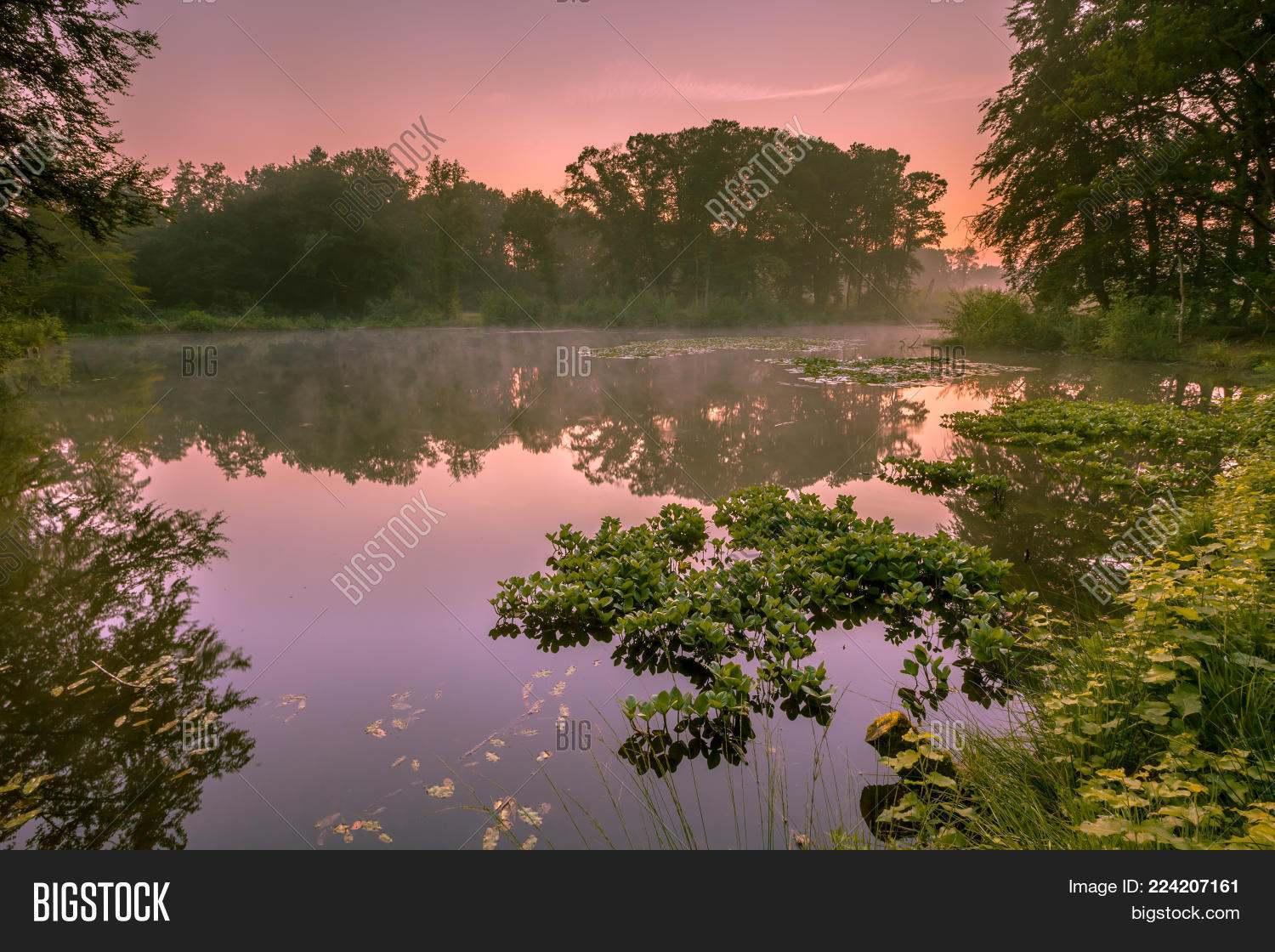 Spring Source Fen Image & Photo (Free Trial) | Bigstock