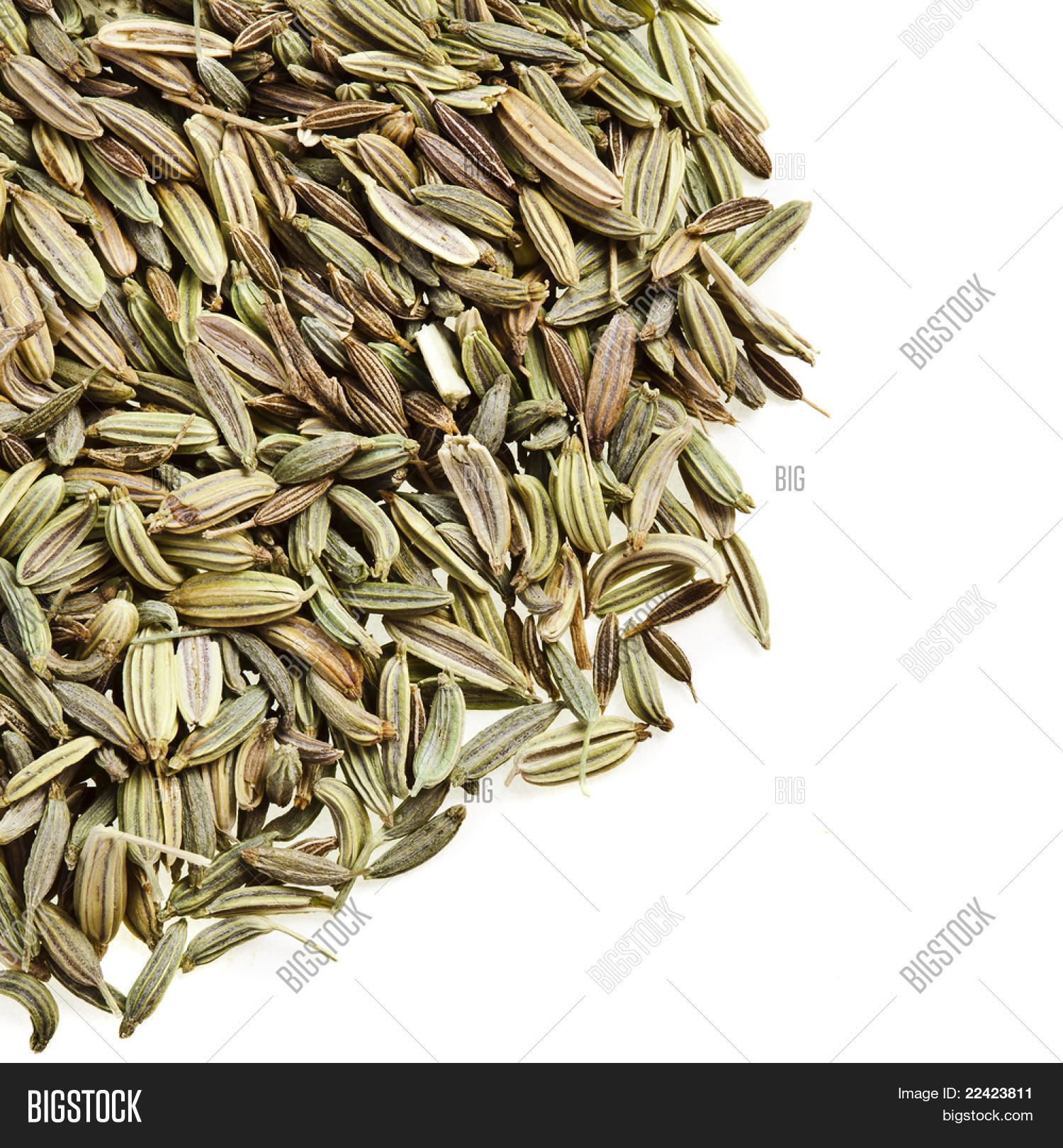 Cumin And Fennel