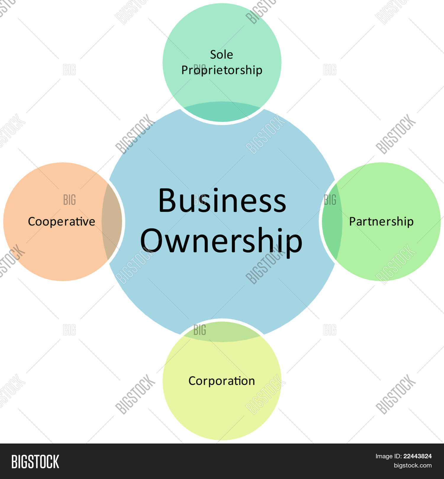 Business Ownership Vector & Photo (Free Trial) | Bigstock