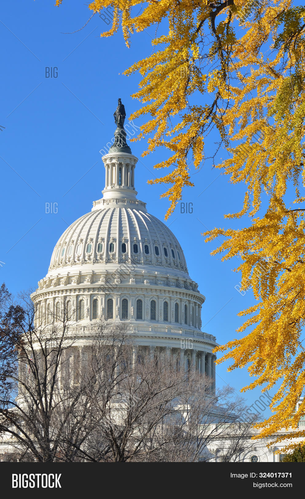 United States Capitol Image & Photo (Free Trial) | Bigstock