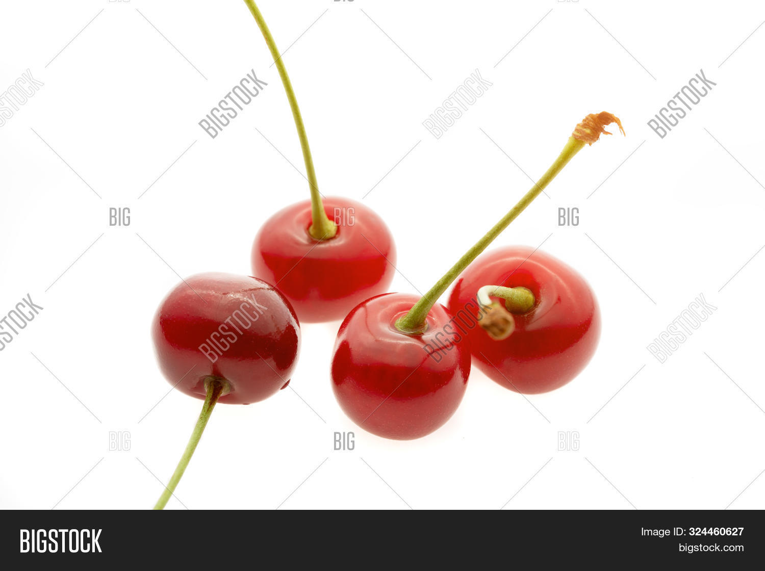 Cherry Isolated On Image & Photo (Free Trial) | Bigstock