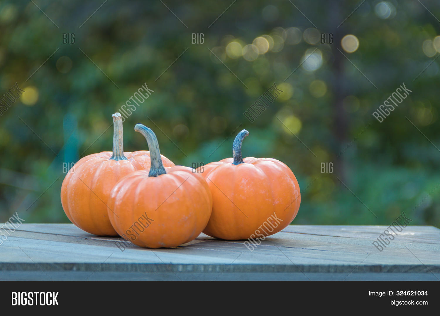 Pumpkin Trio On Wooden Image & Photo (Free Trial) | Bigstock