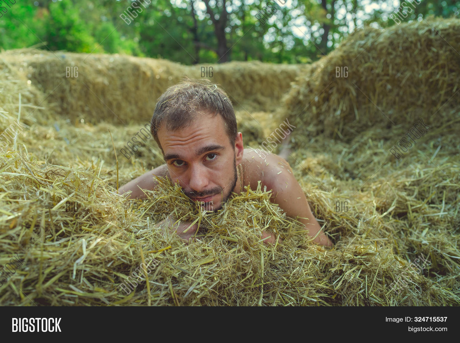 Man On Hay, Male On Image & Photo (Free Trial) | Bigstock