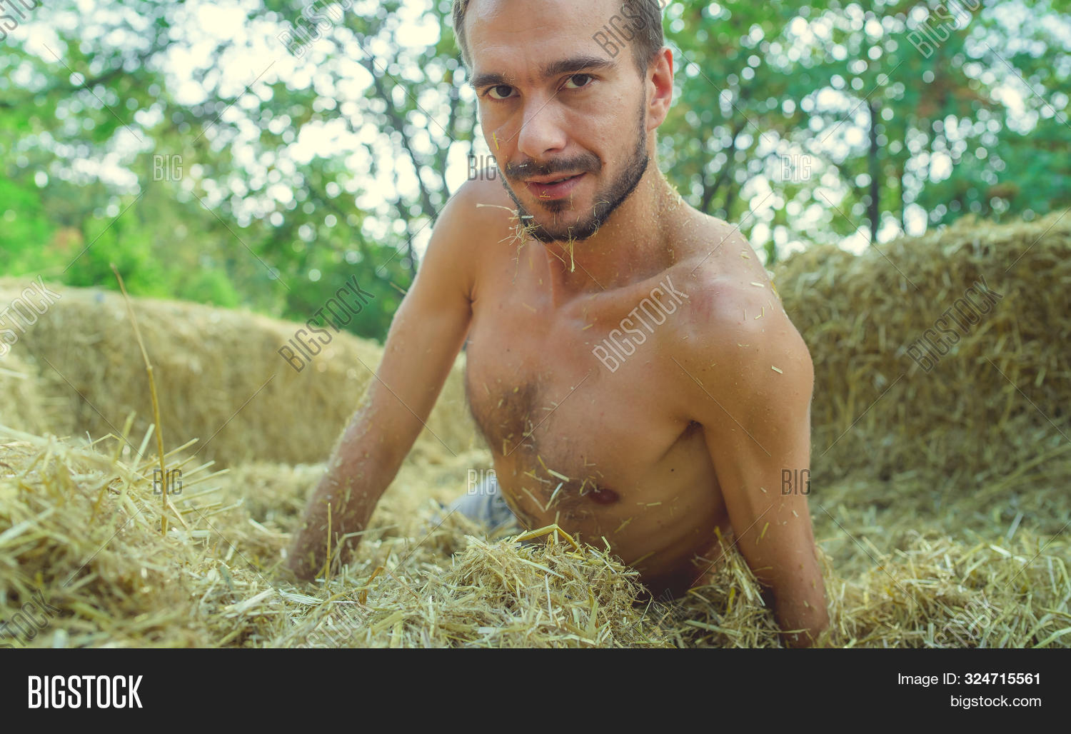 Man On Hay, Male On Image & Photo (Free Trial) | Bigstock