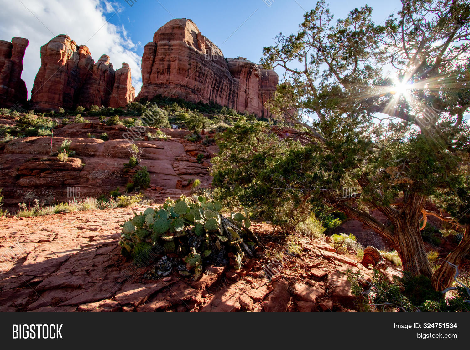 Sedona Red Rock City Image & Photo (Free Trial) | Bigstock