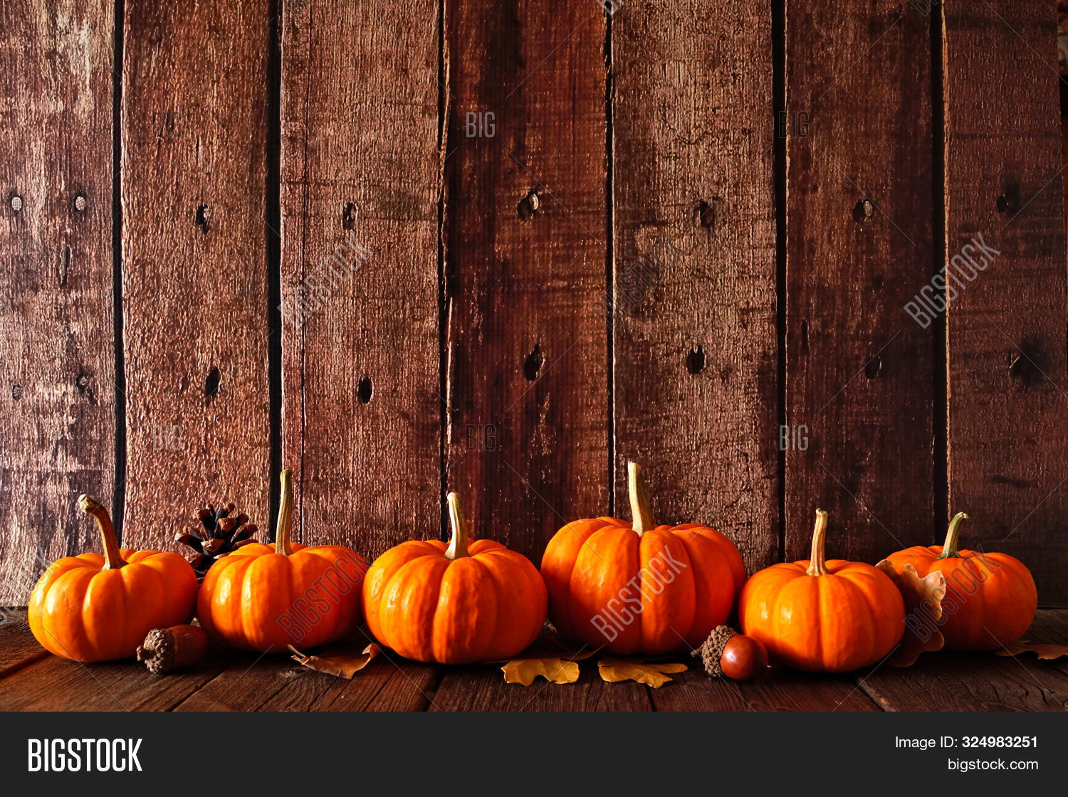 Autumn Border Pumpkins Image & Photo (Free Trial) | Bigstock