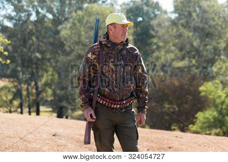 Hunting Gun Dog Images, Illustrations & Vectors (Free) - Bigstock