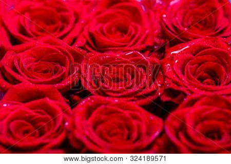 Bouquet Fresh Roses, Image & Photo (Free Trial) | Bigstock