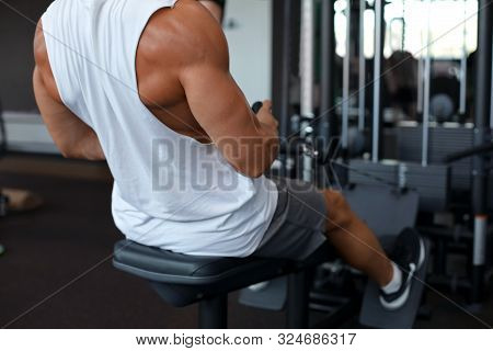Rower Machine Images, Illustrations & Vectors (Free) - Bigstock