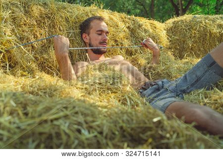 Man On Hay, Male On Image & Photo (Free Trial) | Bigstock