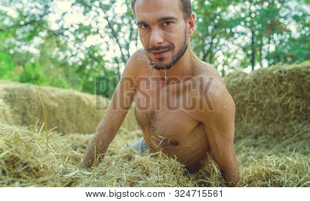 Man On Hay, Male On Image & Photo (Free Trial) | Bigstock