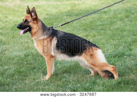 Structure German Image & Photo (Free Trial) | Bigstock