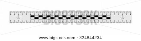Forensic Ruler Vector & Photo (Free Trial) | Bigstock
