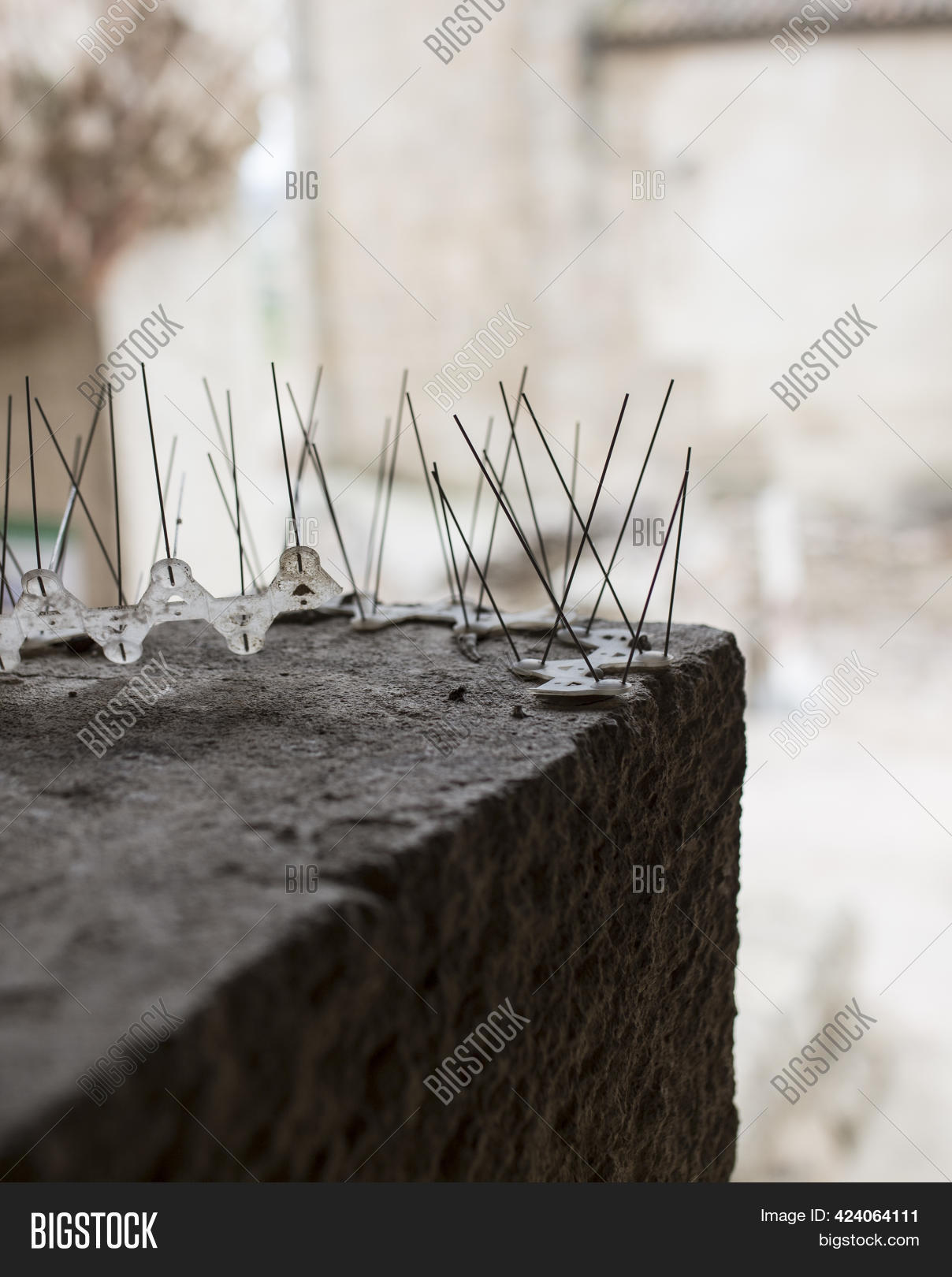 Repellent Metal Spikes Image & Photo (Free Trial) | Bigstock