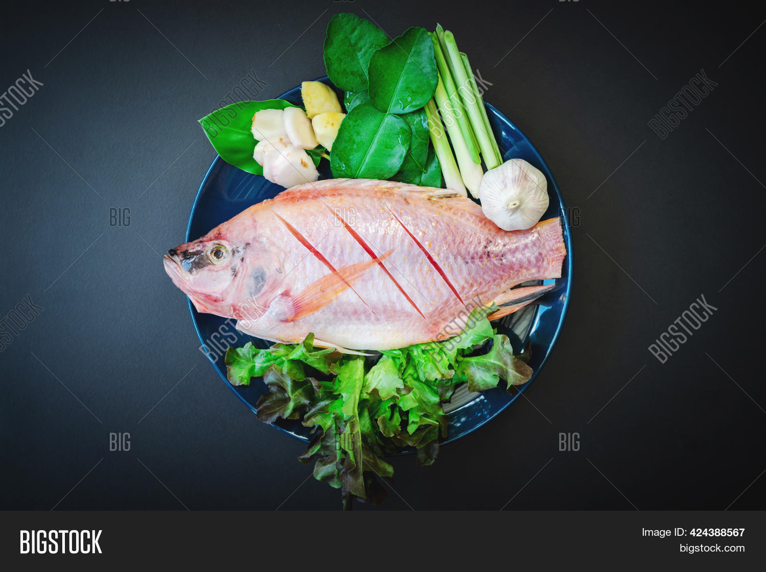 Top View Fresh Fish Image & Photo (Free Trial) | Bigstock