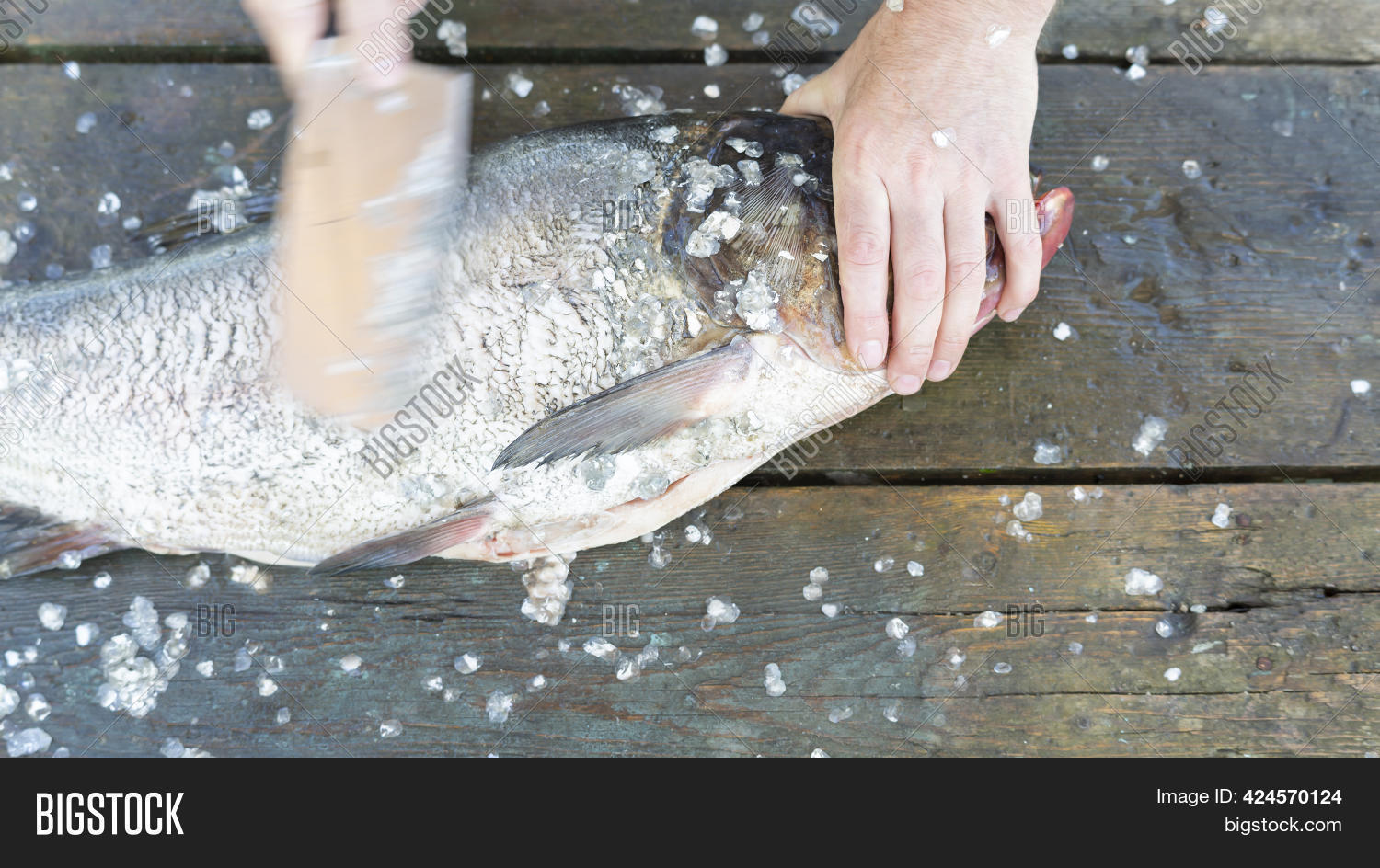 Man Cleans Fish Scales Image & Photo (Free Trial) | Bigstock