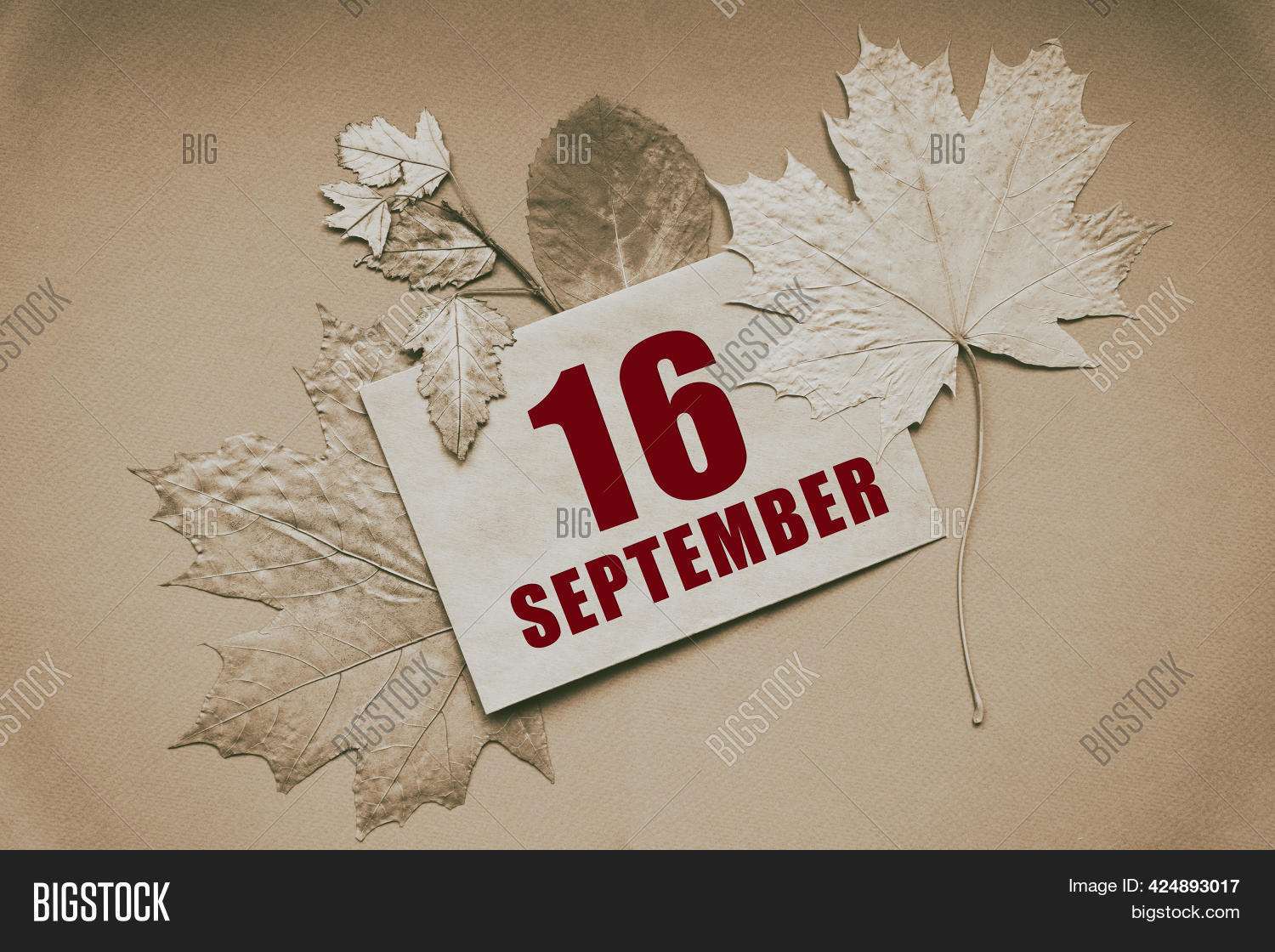 September 16. 16th Day Image & Photo (Free Trial) | Bigstock