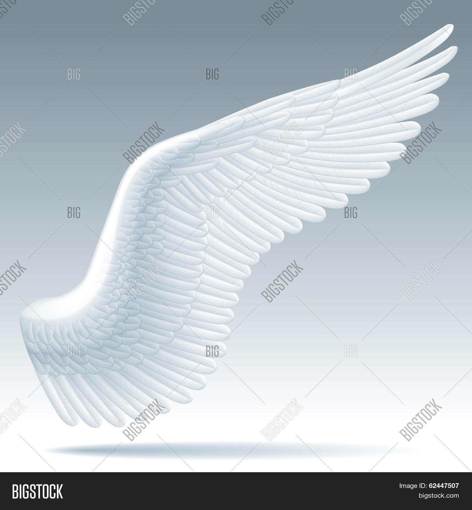 Vector Isolated White Vector & Photo (Free Trial) | Bigstock
