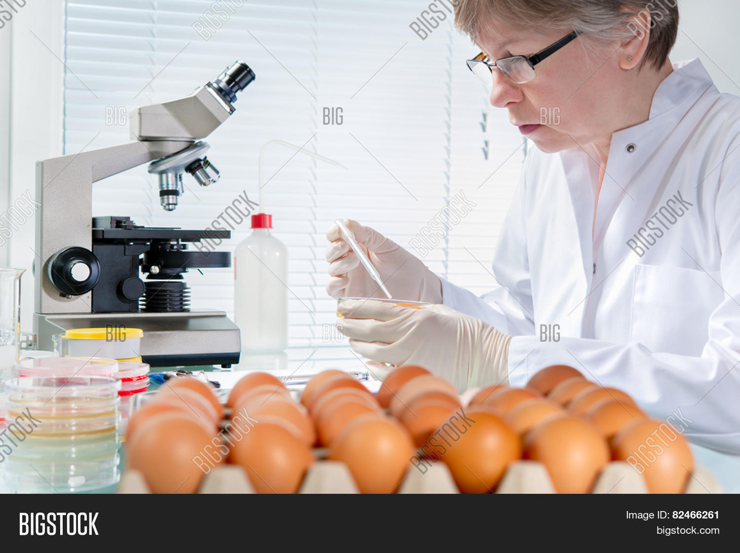 Quality Control Expert Image & Photo (Free Trial) | Bigstock