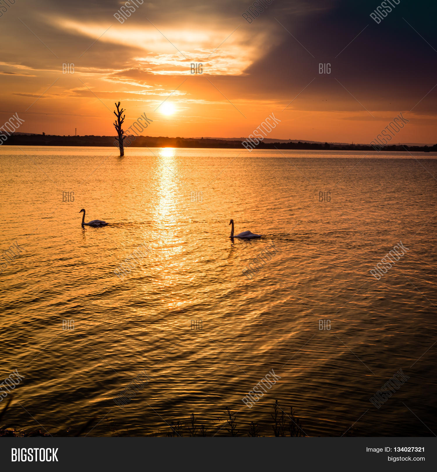 Beautiful Gold Sunrise Image & Photo (Free Trial) | Bigstock