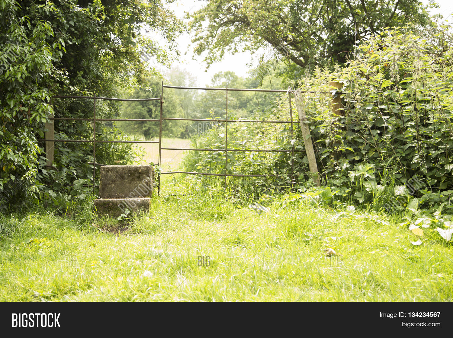 Concrete Stile Leading Image & Photo (Free Trial) | Bigstock