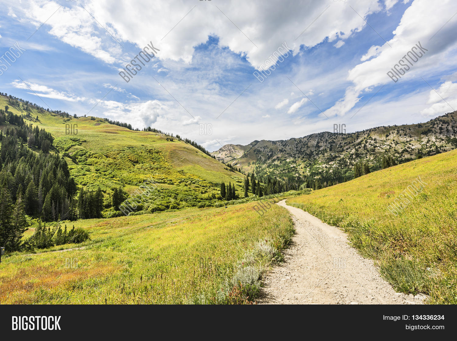 Albion Basin Landscape Image & Photo (Free Trial) | Bigstock