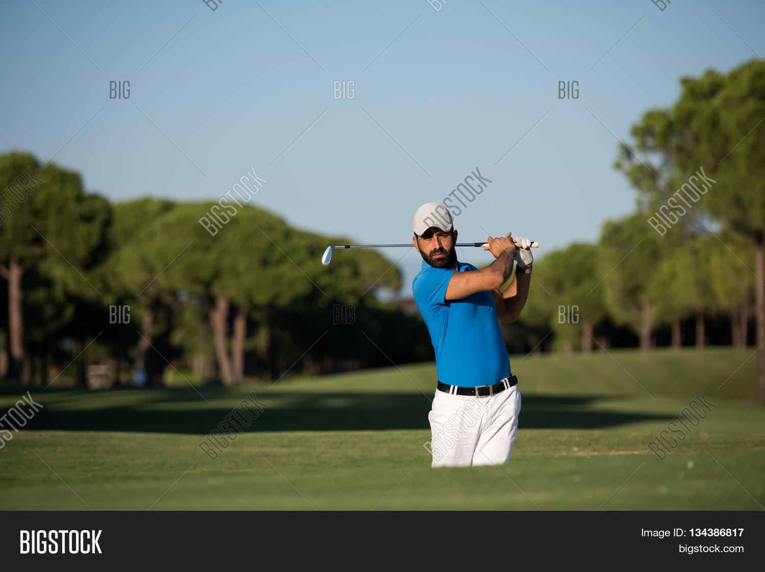 Pro Golf Player Shot Image & Photo (Free Trial) | Bigstock