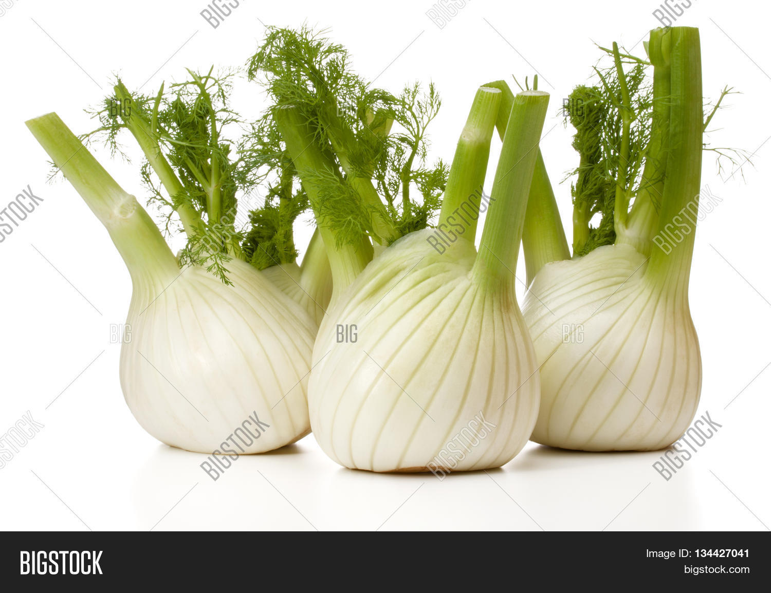 Fresh Fennel Bulb Image & Photo (Free Trial) | Bigstock