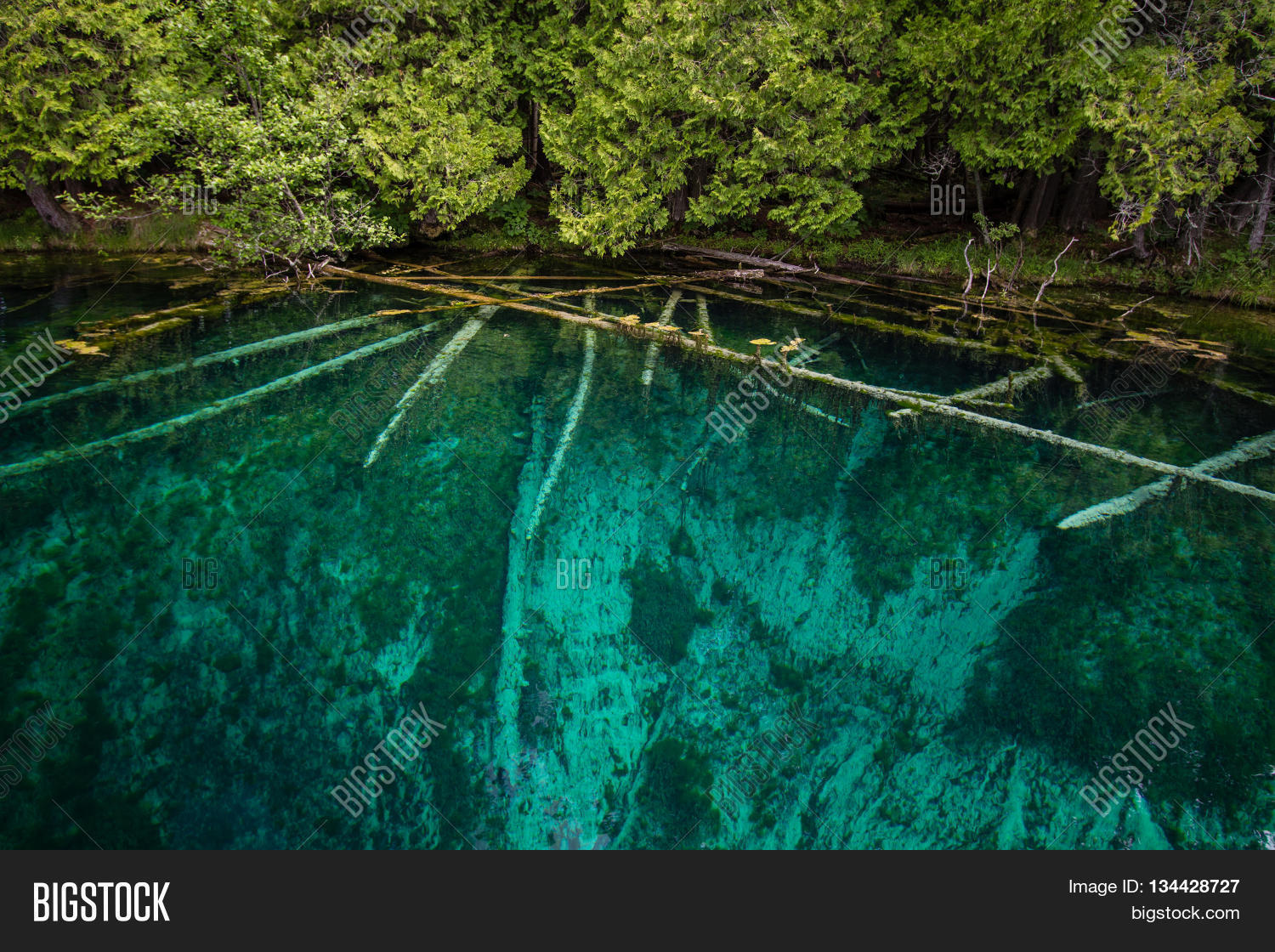 Shoreline Kitch--ti-ki Image & Photo (Free Trial) | Bigstock