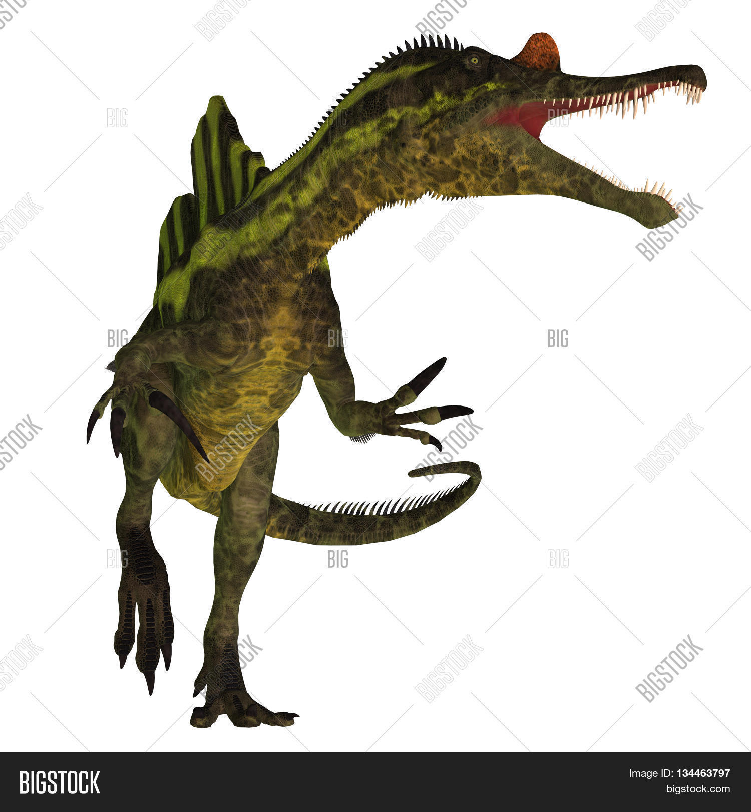 Ichthyovenator Image & Photo (Free Trial) | Bigstock