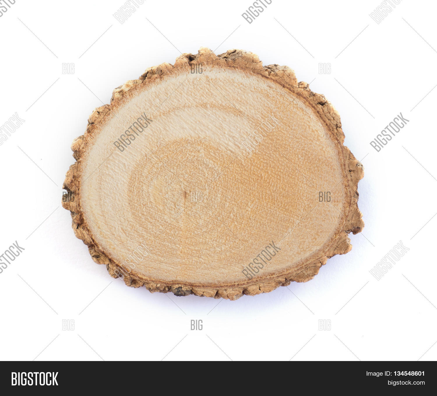 Cross Section Tree Image & Photo (Free Trial) | Bigstock