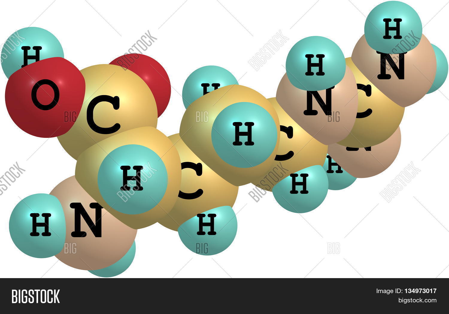 Model Amino Acid Image & Photo (Free Trial) | Bigstock