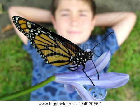 Boy Looking Monarch Image & Photo (Free Trial) | Bigstock