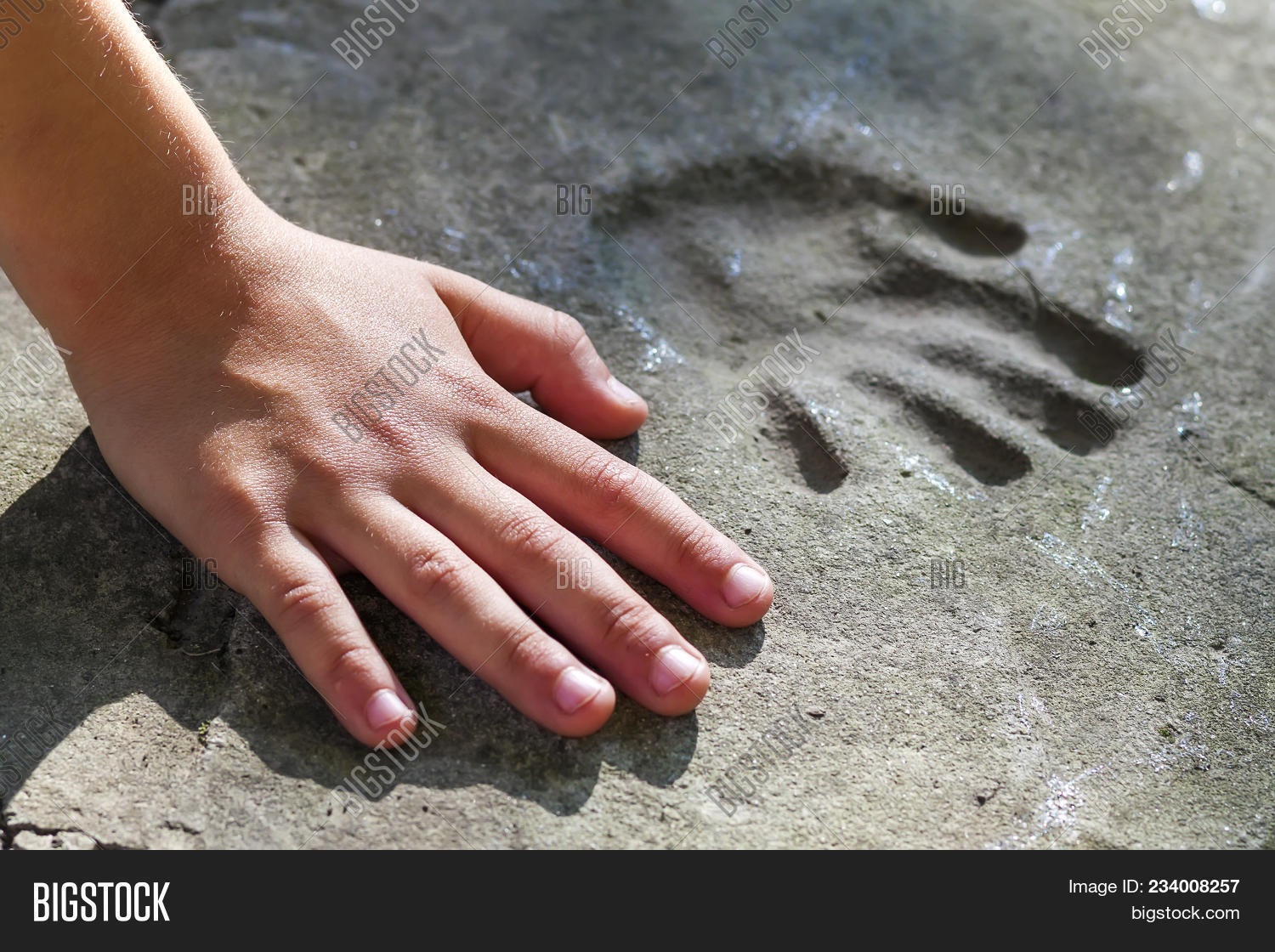 Childs Hand Memorable Image & Photo (Free Trial) | Bigstock