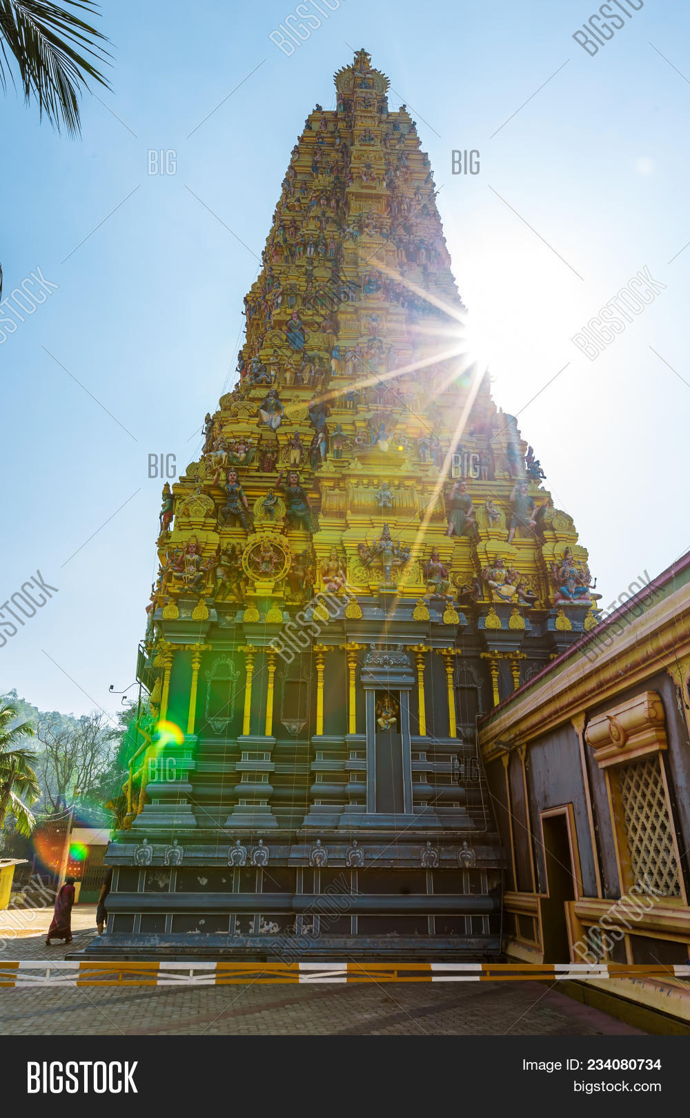 Pathirakali Amman Image & Photo (Free Trial) | Bigstock