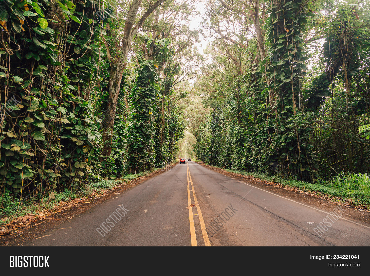 Imagen y foto Road Lane, Walkway (prueba gratis) | Bigstock