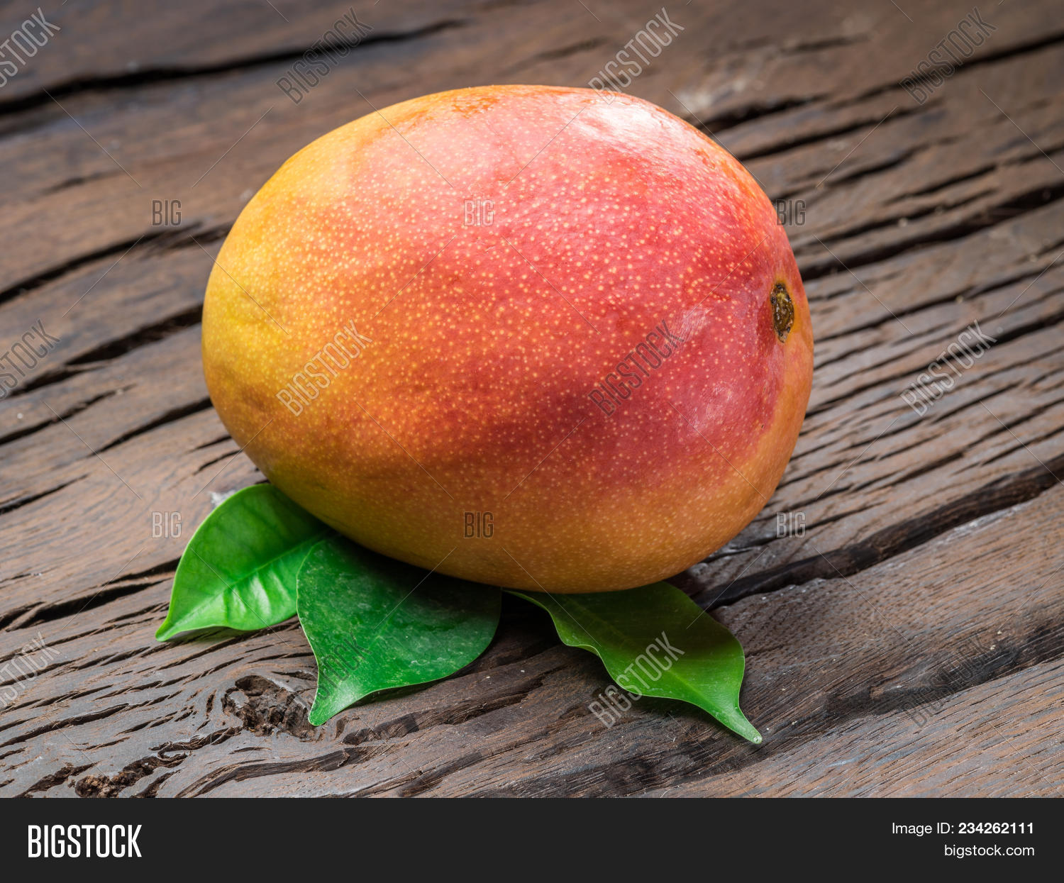 Ripe Mango Fruit Mango Image & Photo (Free Trial) | Bigstock