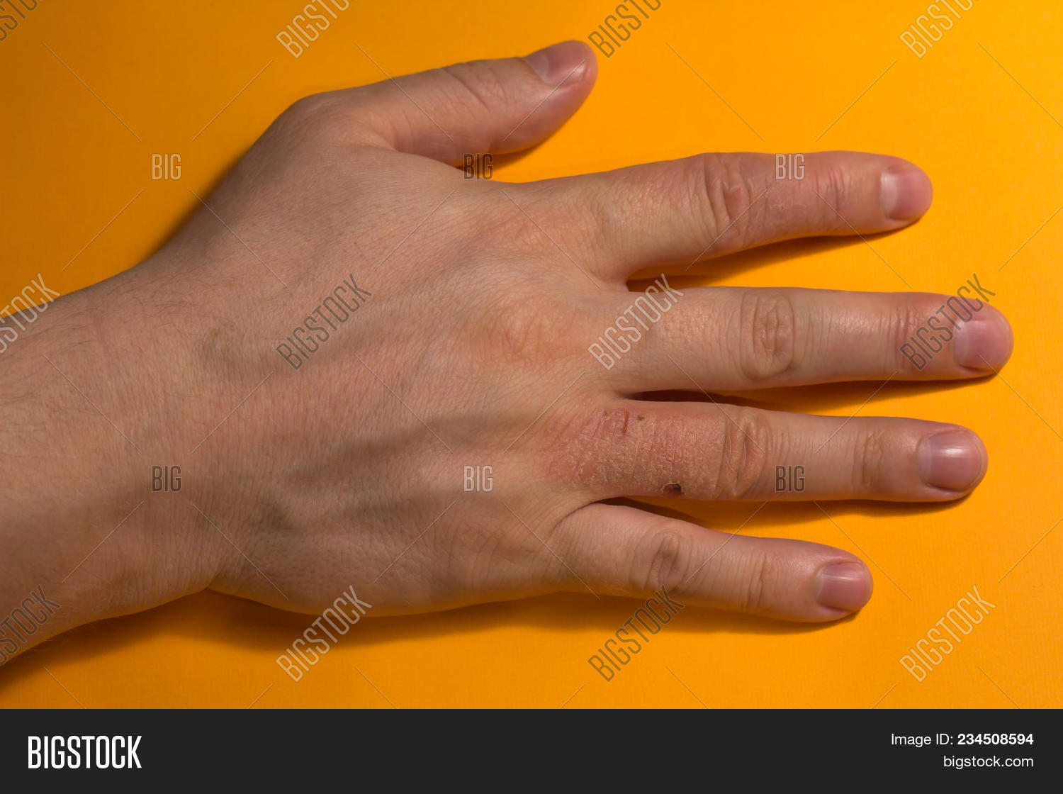 ภาพและภาพถ่าย (ทดลองใช้ฟรี) | Bigstock