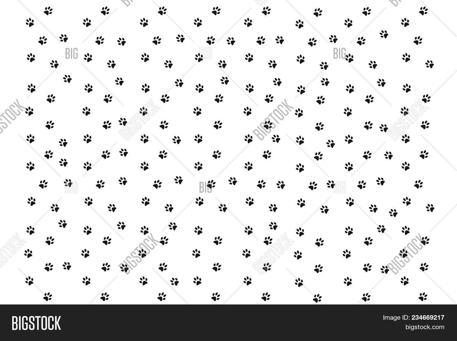 Background Black Paw Image & Photo (Free Trial) | Bigstock