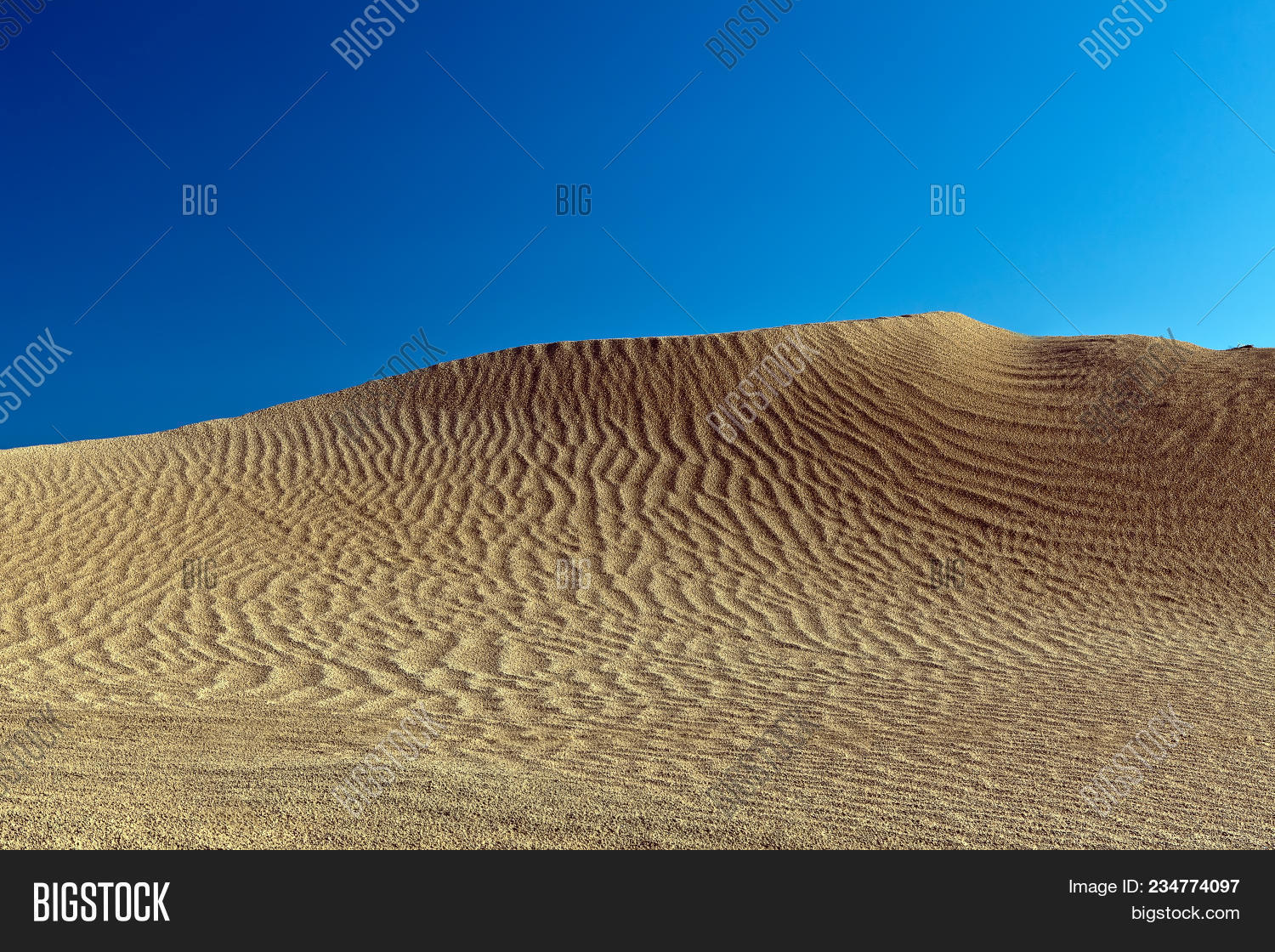 Dunes Barkhans Sahara Image & Photo (Free Trial) | Bigstock