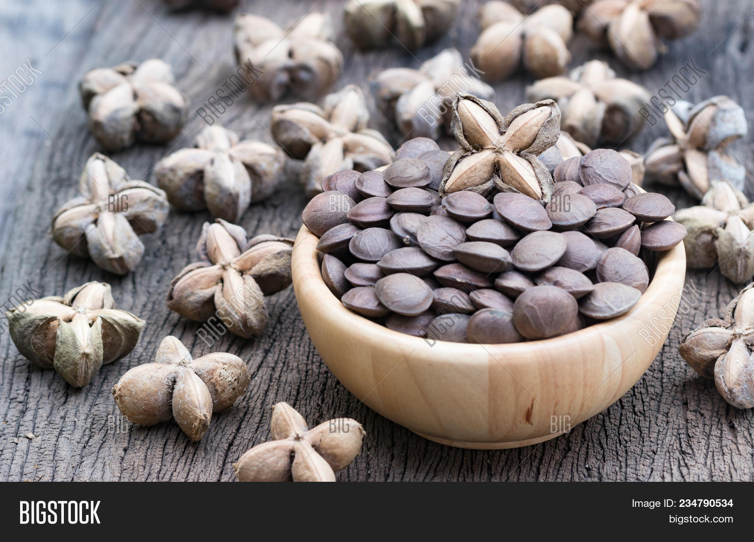 Sacha Inchi, Sacha Image & Photo (Free Trial) | Bigstock