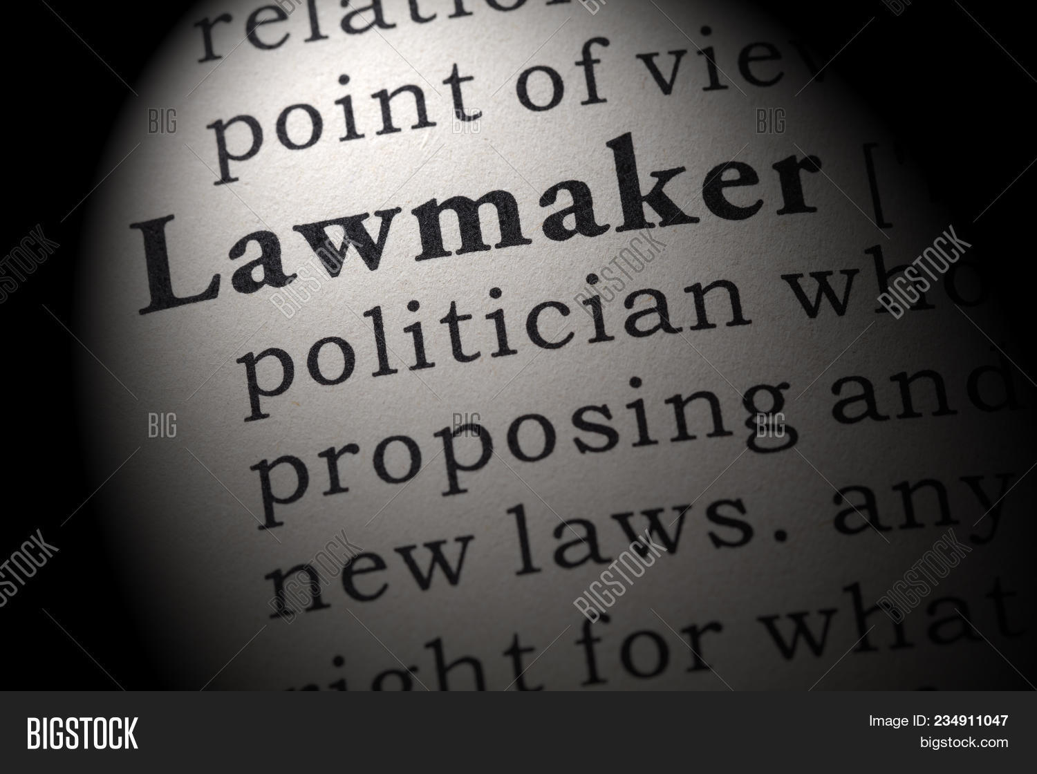 Fake Dictionary, Image & Photo (Free Trial) | Bigstock